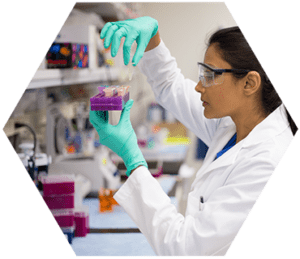 About Us - Absolute Health - Preventive Medicine and Personalized ...